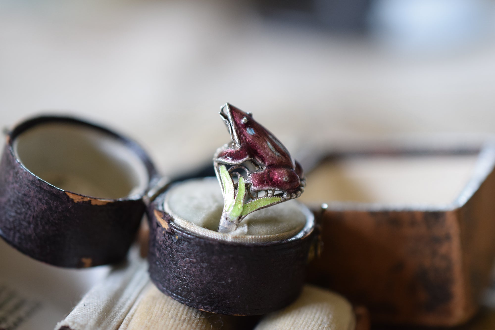Vintage Enamel Frog Ring – DEAR GOLDEN